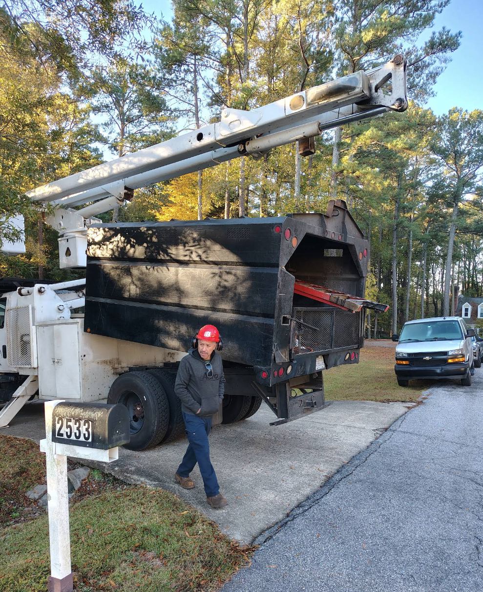 Tree Service Raleigh & Tree Removal Raleigh | Ashland Tree